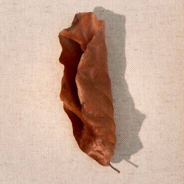 REPLICA On a Date EDT Perfume | Maison Margiela Official